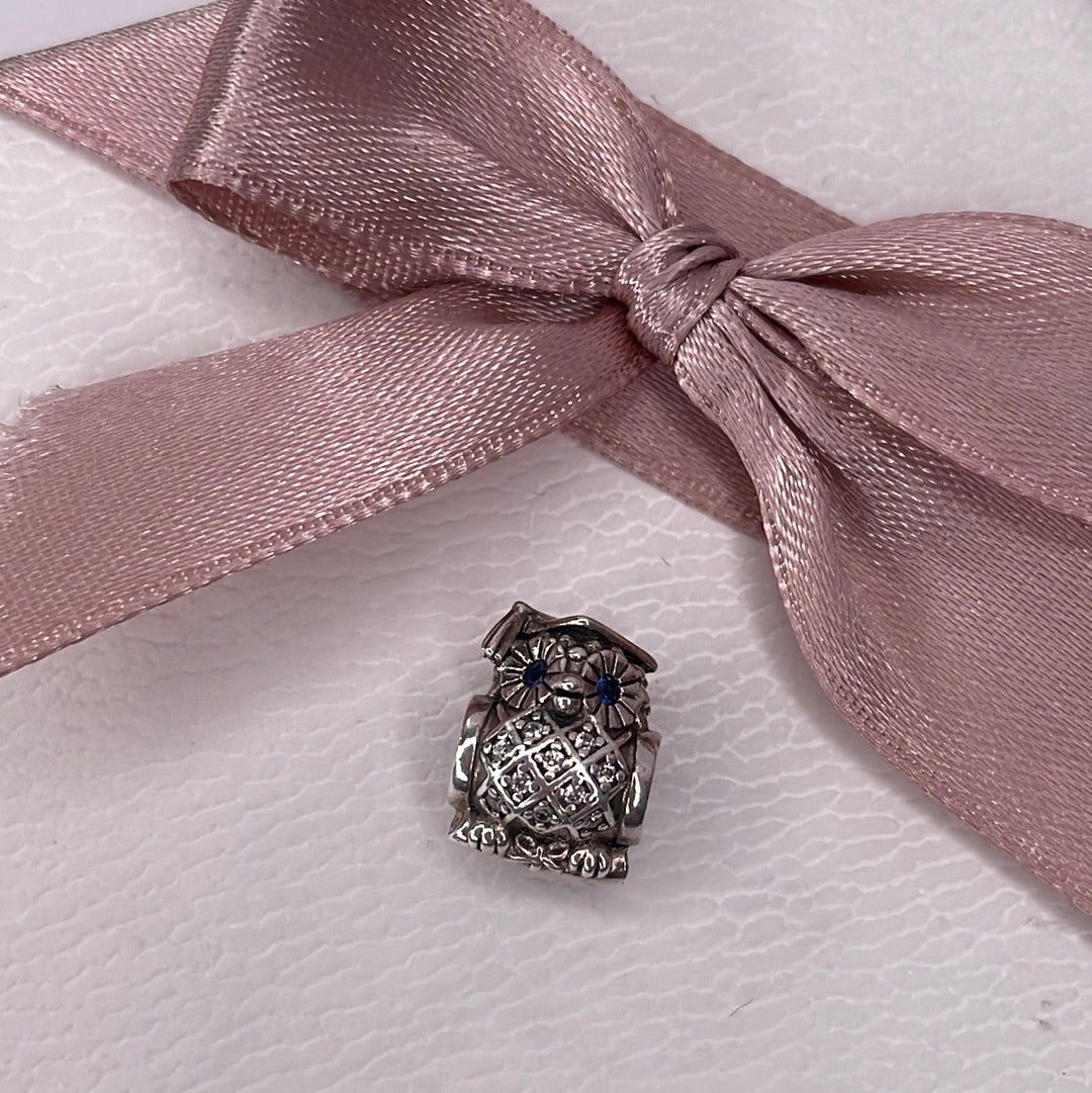 Genuine Pandora Graduation Owl With Blue CZ Eyes Charm – Preloved ...